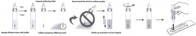 One Step O1 / O139 Vibrio Cholerae Rapid Test Kit Feces Sample ...