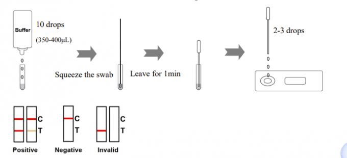 HPV Antigen Rapid Test Kit Human Papilloma Virus Vaginal Swab With CE ...