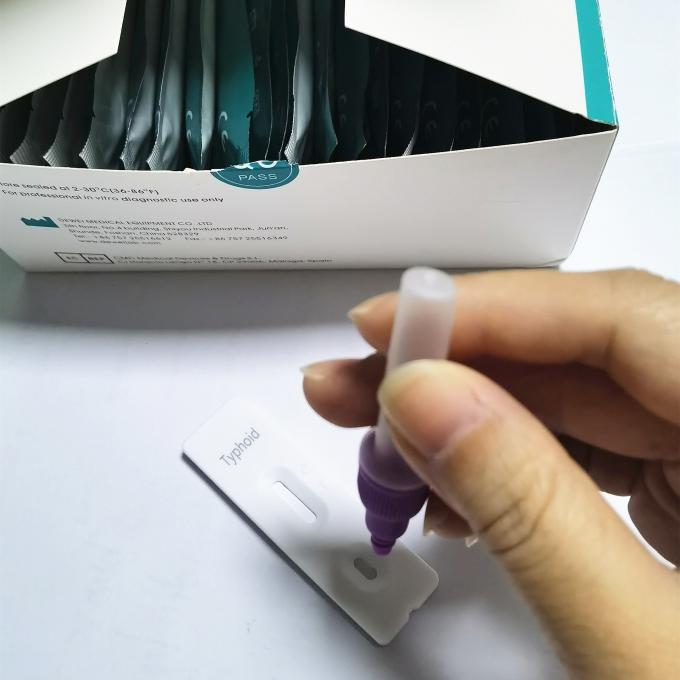 15mins Typhoid Rapid Test Kit Feces Serum Plasma Sample Salmonella ...